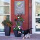 Basalt, Colorado | Eagle County - Uncover Colorado