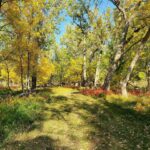 Sterling, Colorado | Logan County - Uncover Colorado