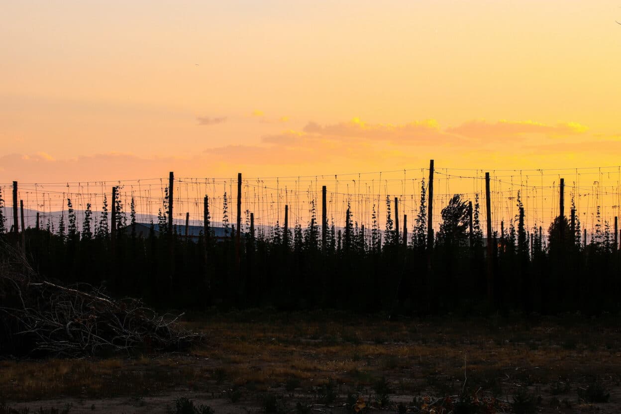 Best Places to Catch a Colorado Sunset - Uncover Colorado