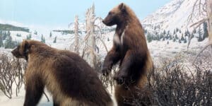 Free Colorado Travel Guide | Vacations, Travel and Tourism in CO
