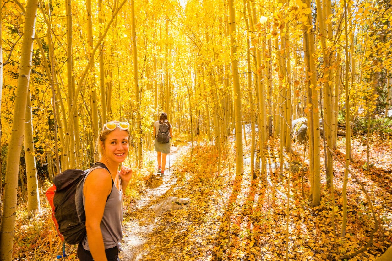 When Do Fall Colors Start in Colorado? - Uncover Colorado