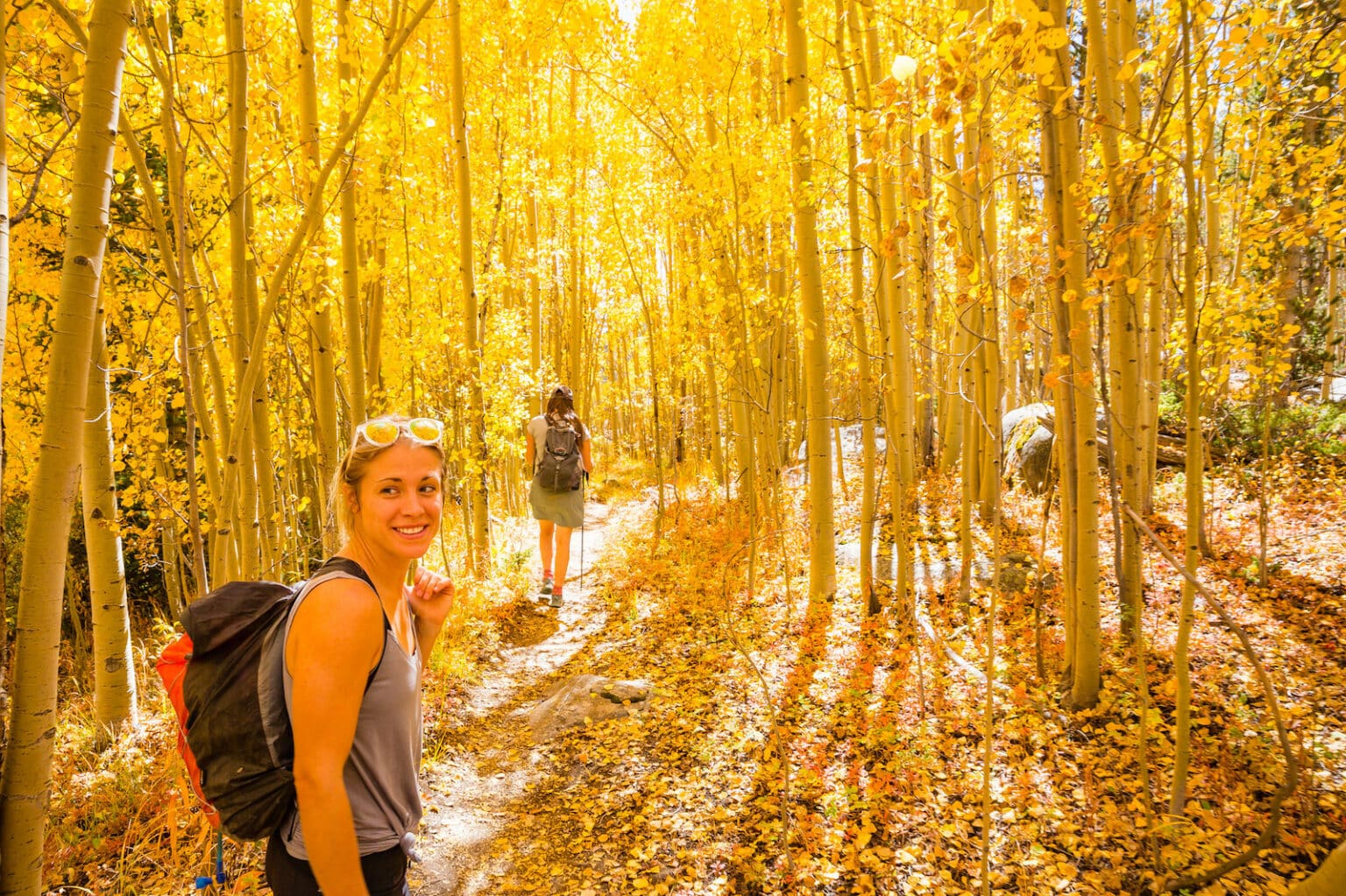 When Do Fall Colors Start in Colorado? - Uncover Colorado