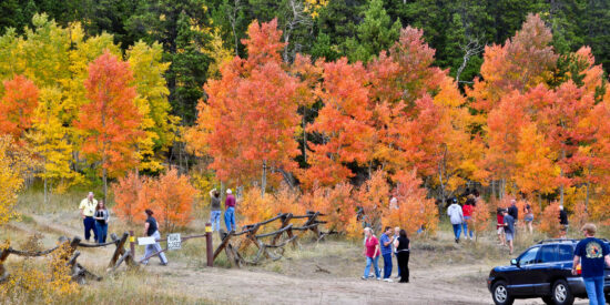 When Do Fall Colors Start in Colorado? - Uncover Colorado