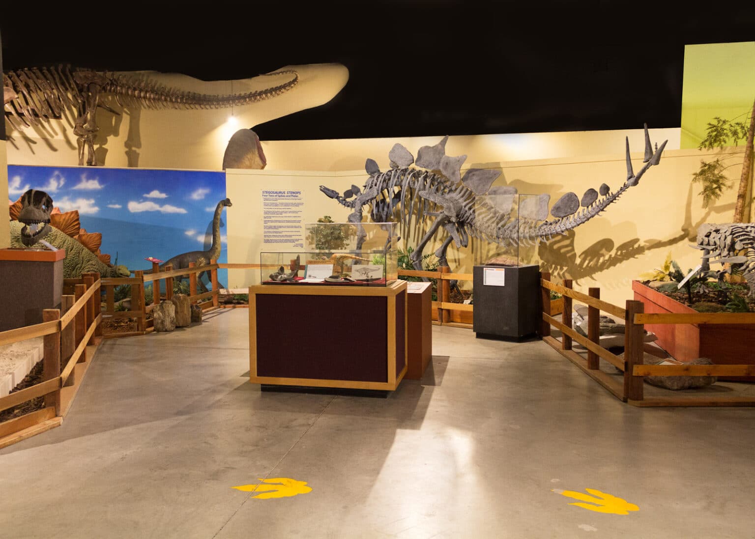 Discovering Dinosaurs in Colorado - Uncover Colorado