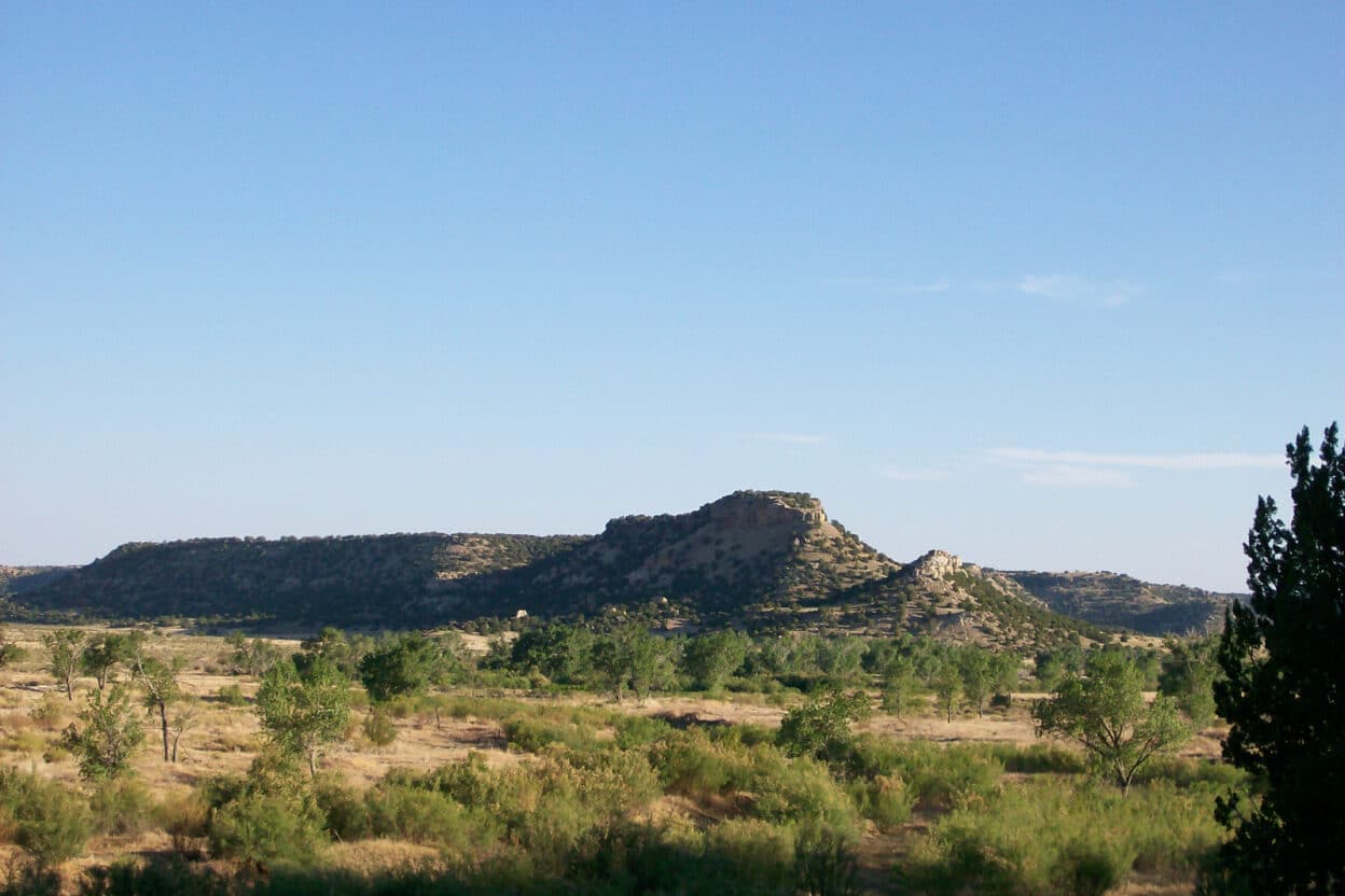 Discovering Dinosaurs in Colorado - Uncover Colorado