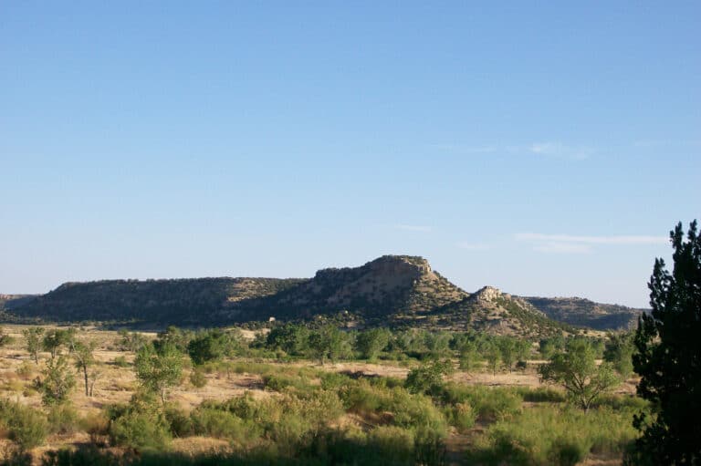 Discovering Dinosaurs in Colorado - Uncover Colorado