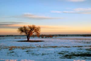 Is Colorado Always Cold? - Uncover Colorado