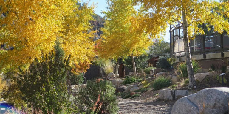Durango Botanic Gardens - Durango, CO | Plants and Art Walk - Uncover ...
