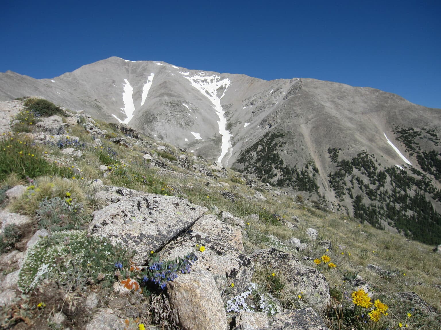 Johnson Village, Colorado | Chaffee County - Uncover Colorado