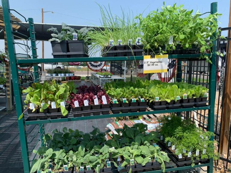 Hilltop Gardens & Farm Market - Federal Heights, CO - Uncover Colorado