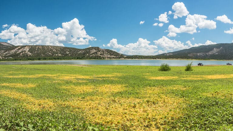 Ignacio, Colorado | La Plata County - Uncover Colorado