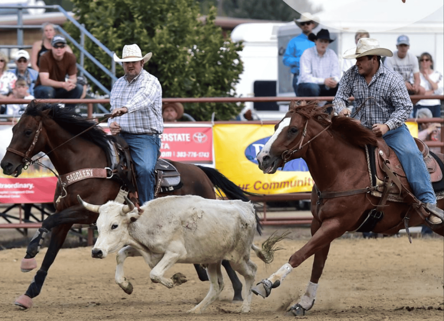 15 Summer County Fairs in Colorado - Uncover Colorado