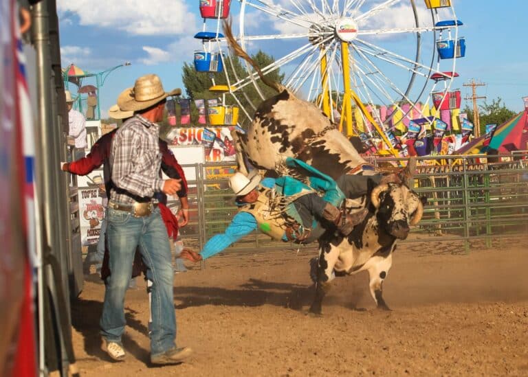 15 Summer County Fairs in Colorado - Uncover Colorado