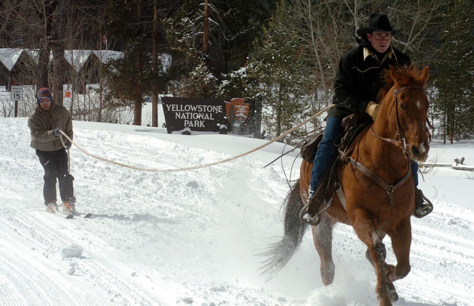 Leadville Ski Joring | 2025 March Winter Sports Festival - Uncover Colorado