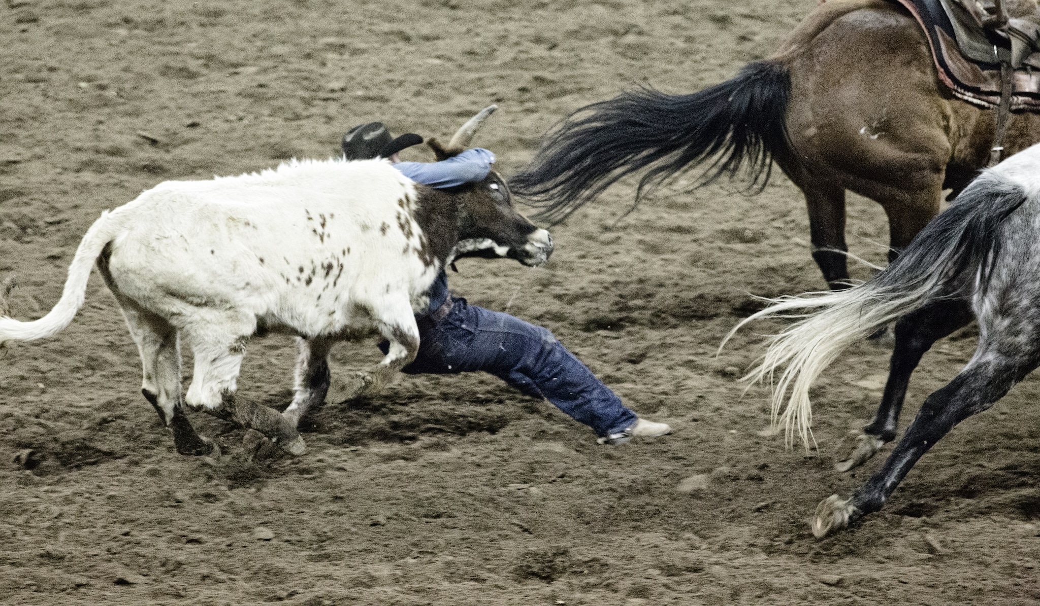 January Colorado Events | 2026 Festivals - Uncover Colorado