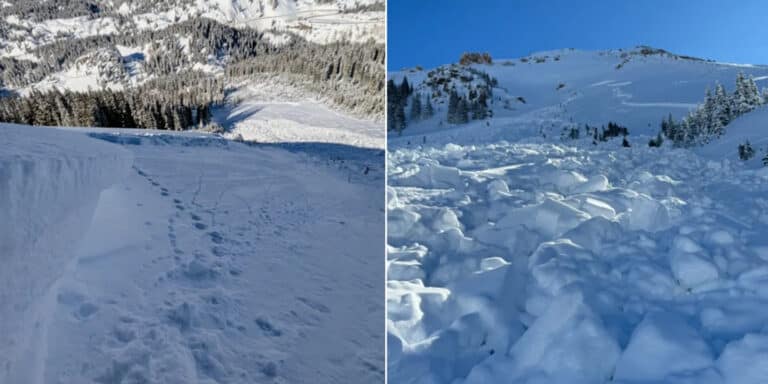 Skier Found Buried in Avalanche on Red Mountain Pass - Uncover Colorado