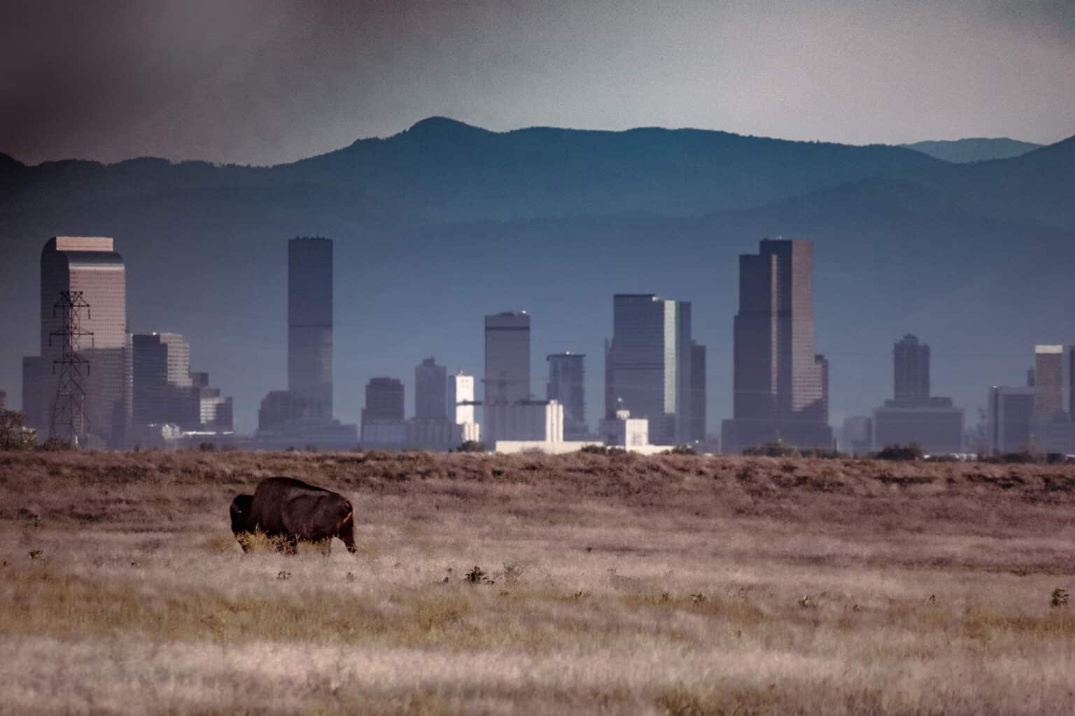 10 Reasons to Move to Denver, Colorado - Uncover Colorado
