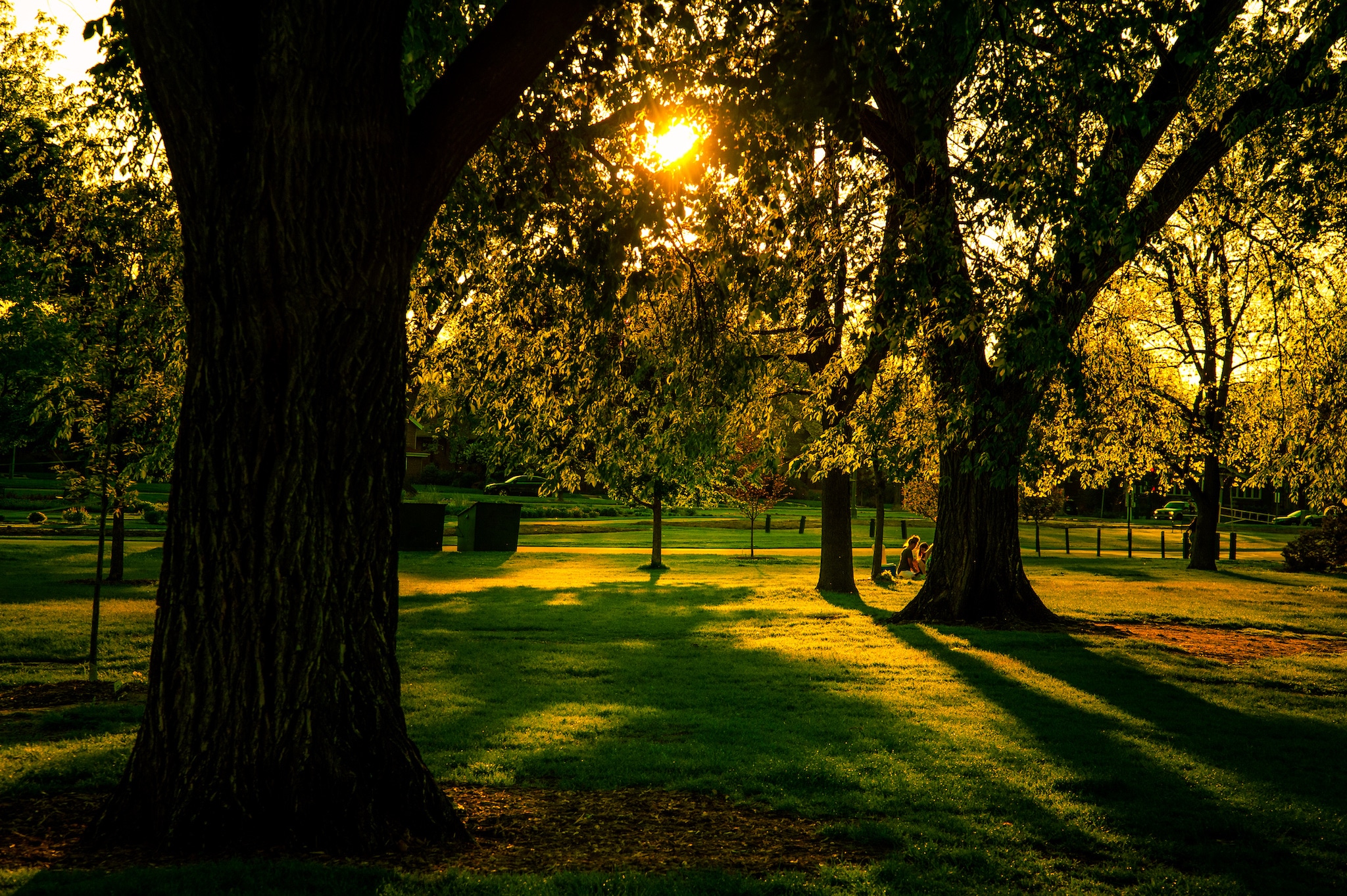 10 Reasons to Move to Denver, Colorado - Uncover Colorado