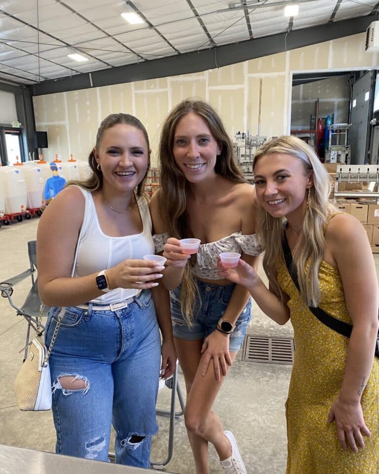 Try Lemon Wine on a Free Tour of Evergood Adventure Wines in Palmer ...