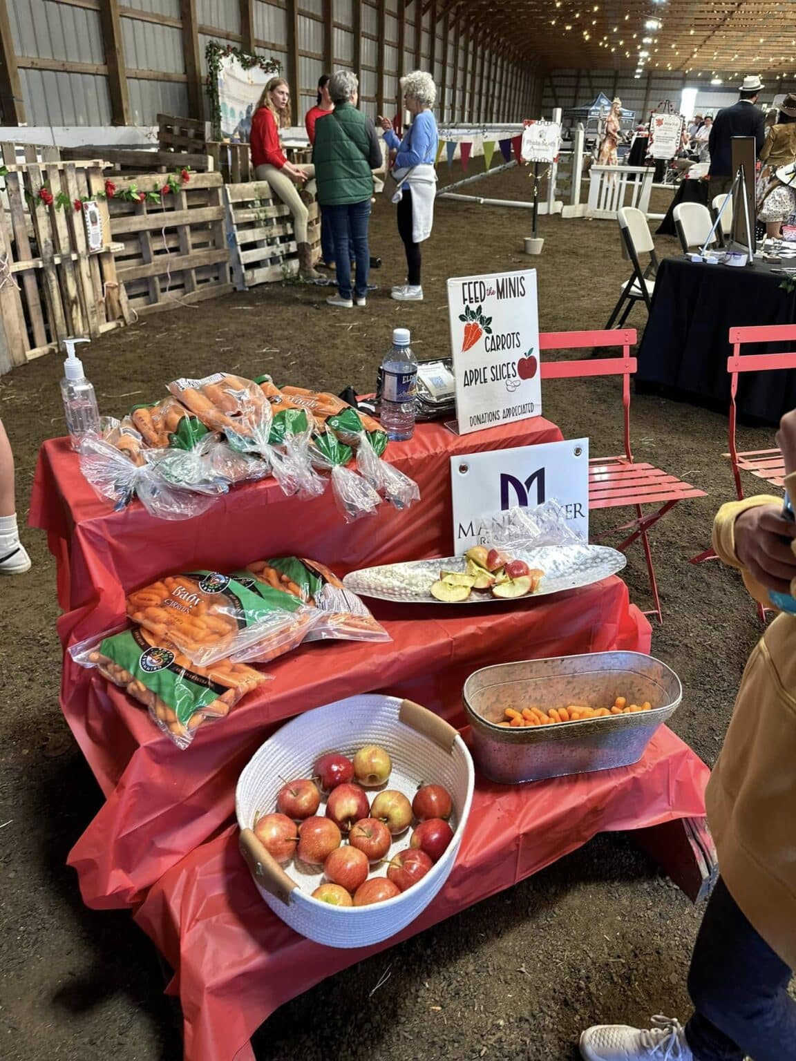 Mini Derby at Sky View Farm - Castle Rock | May - Uncover Colorado