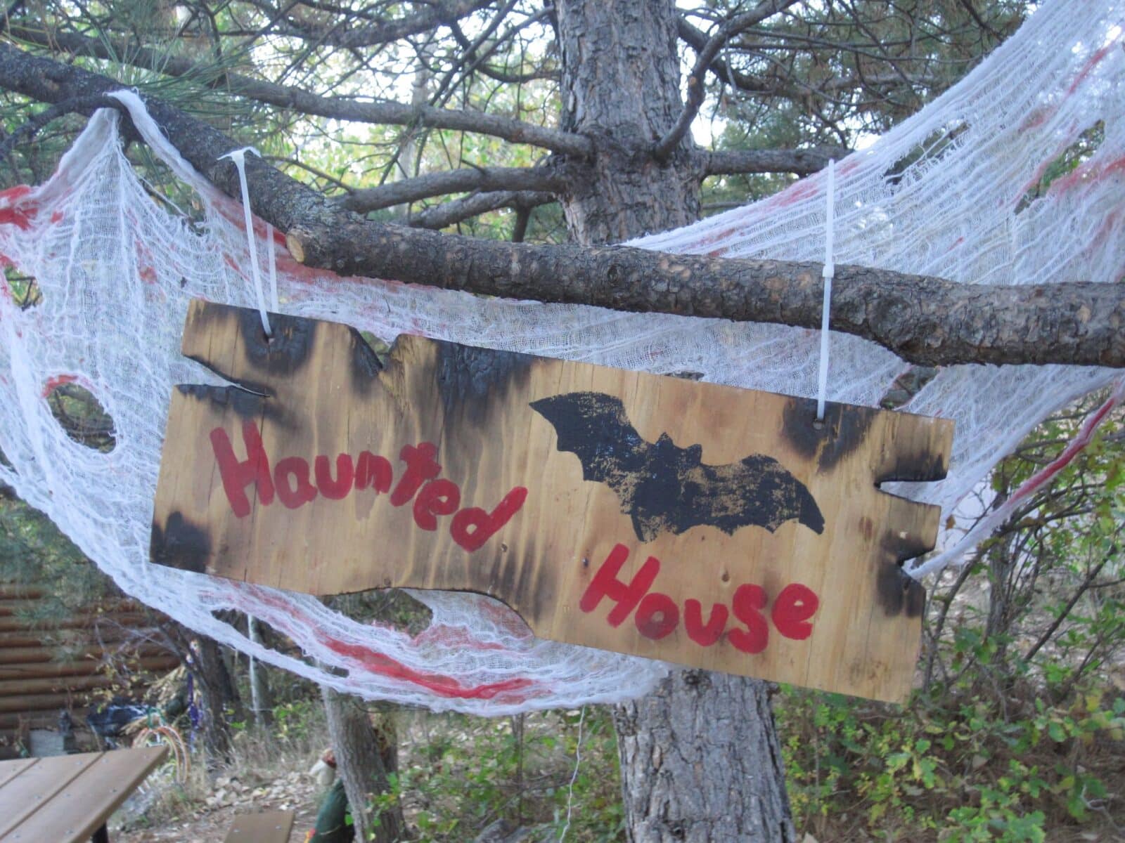 Cheyenne Mountain Boo at the Zoo from October 17 to 31 - Uncover Colorado