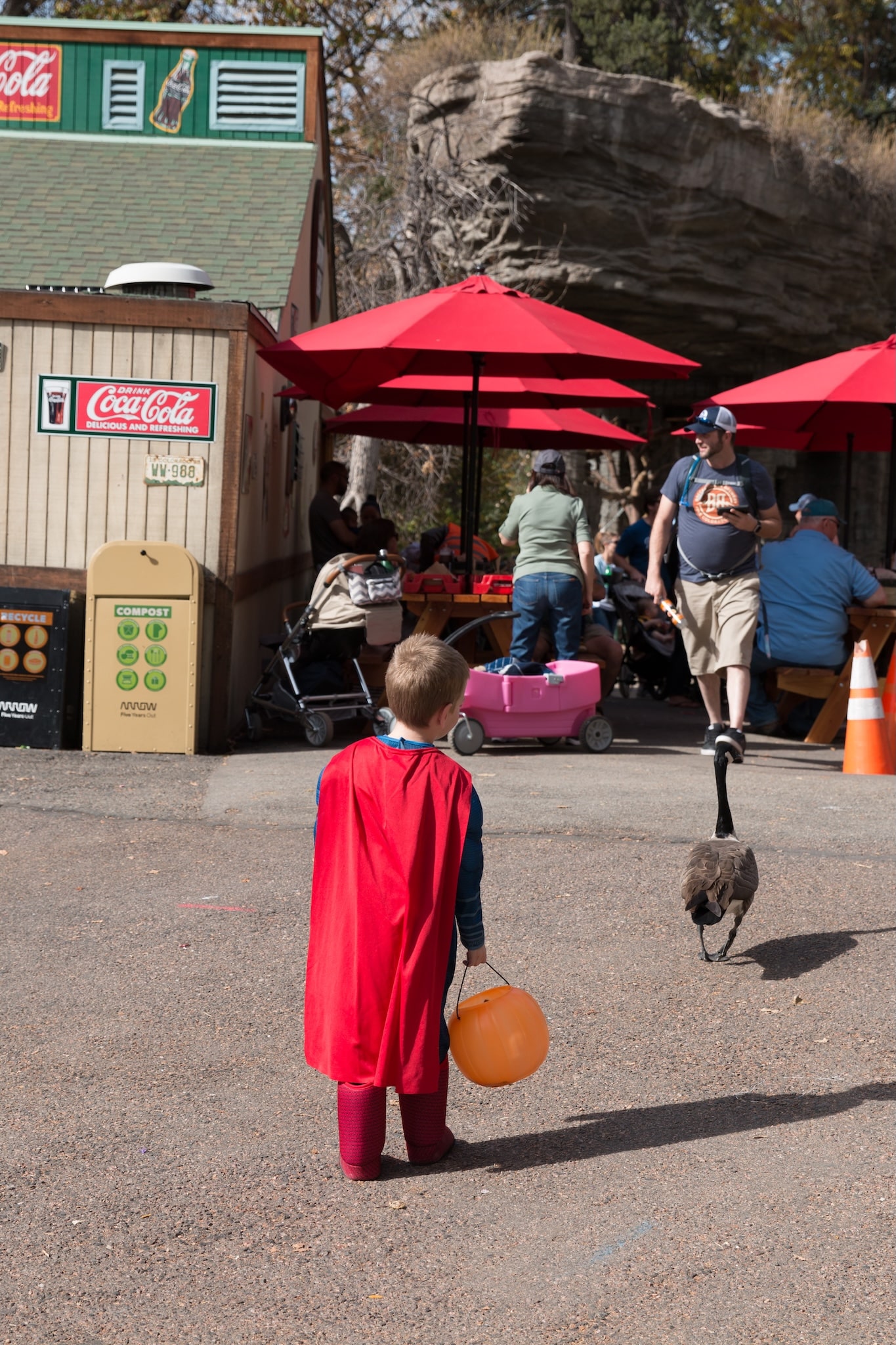 Denver Boo at the Zoo on October Weekends - Uncover Colorado