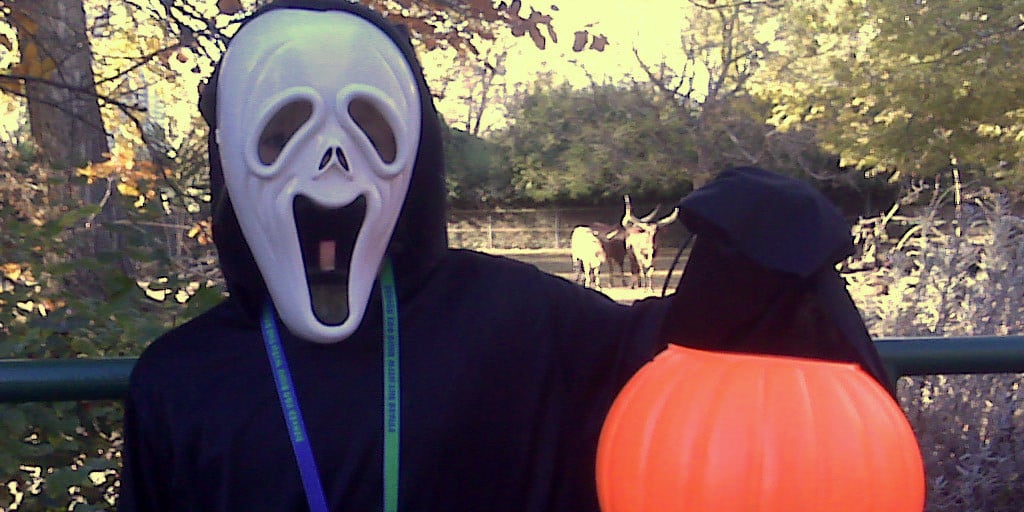 Denver Boo at the Zoo on October Weekends - Uncover Colorado