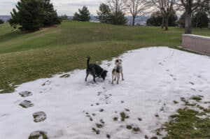 Ruby Hill Park - Denver, CO - Uncover Colorado
